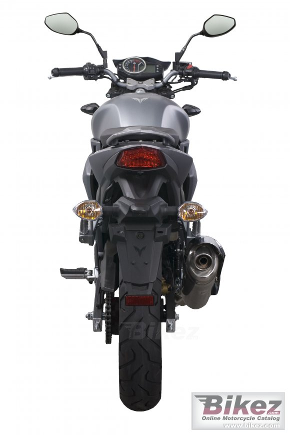 Sym Wolf SB250Ni gallery